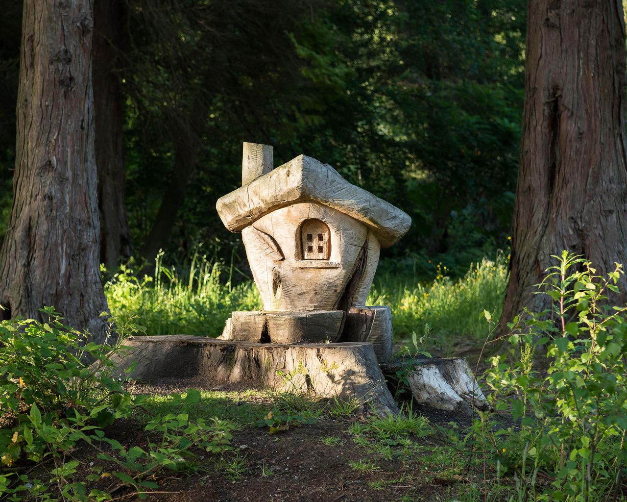 Tree stump ideas: 10 creative designs for your yard | Homes and Gardens