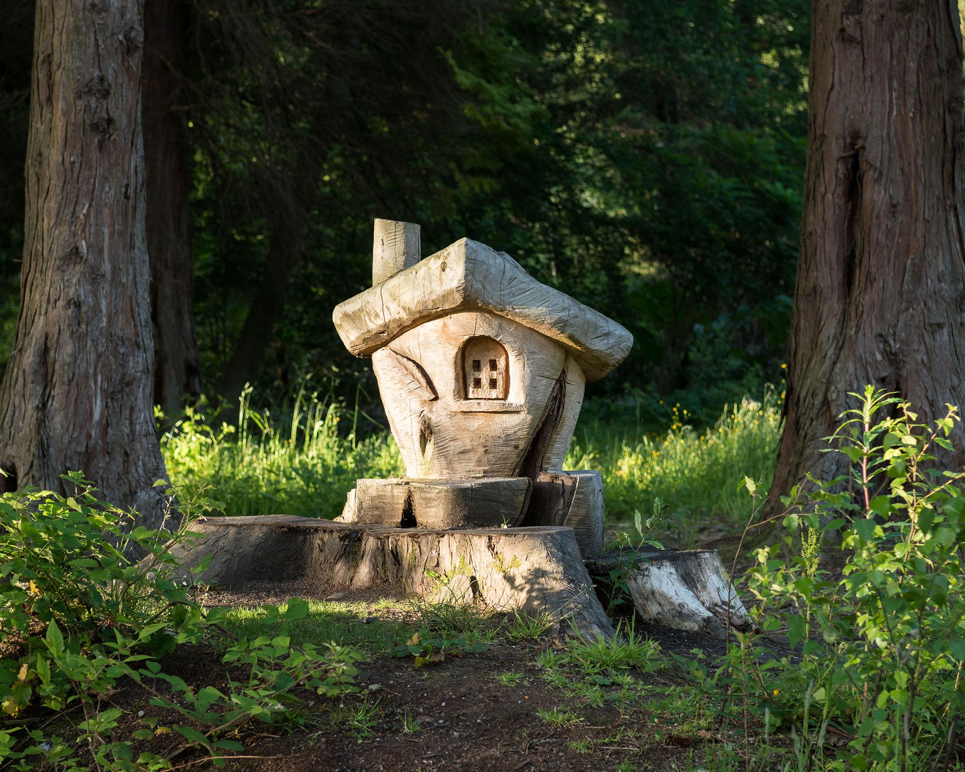 Tree stump ideas: 10 creative designs for your yard | Homes and Gardens