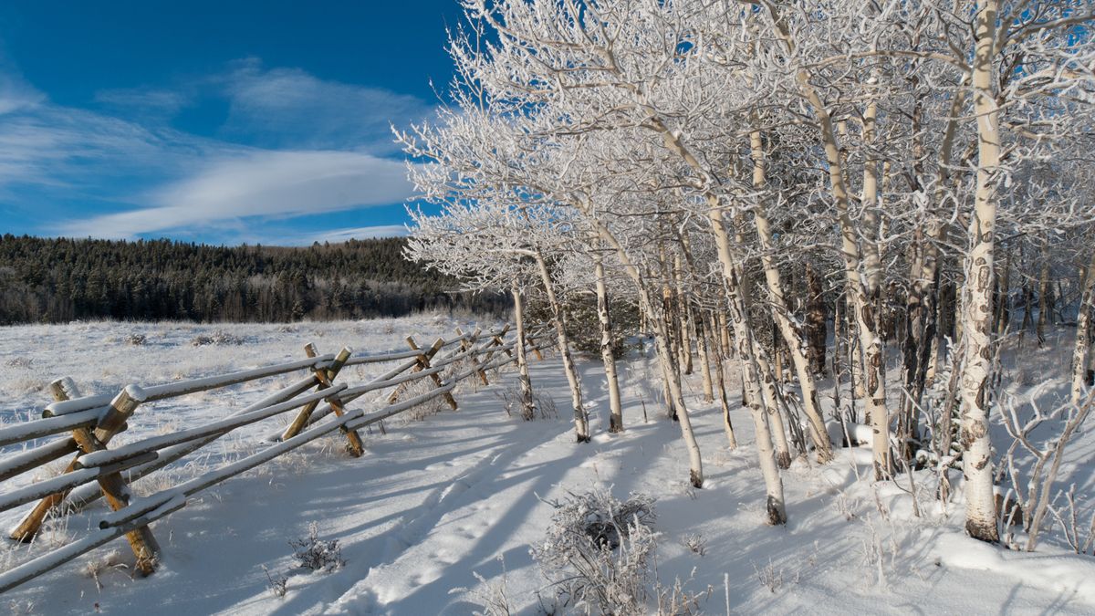 Snowshoeing in Colorado: low impact, high reward adventure | Advnture