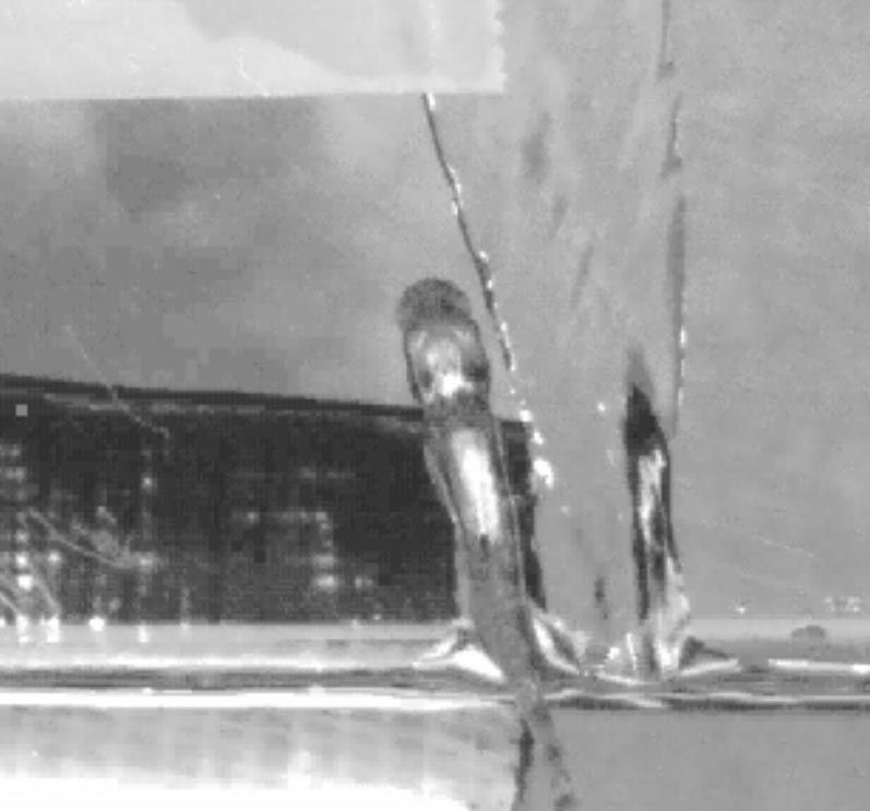 Secret to Fish's Waterfall-Climbing Ability Found | Live Science