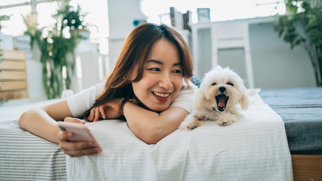 32 best dogs for introverts | PetsRadar