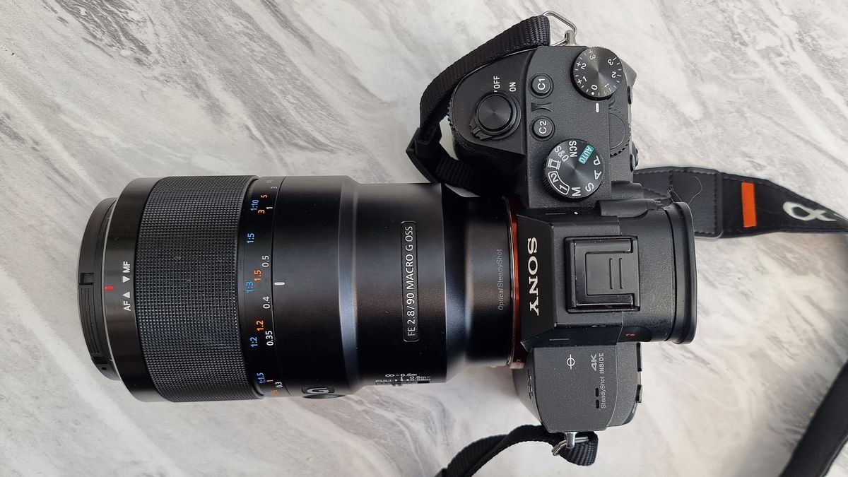The best lenses for concert photography | Digital Camera World
