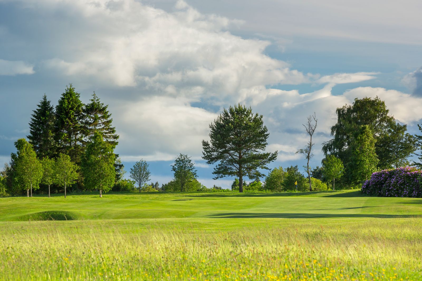 Edzell Golf Club Course Review | Golf Monthly