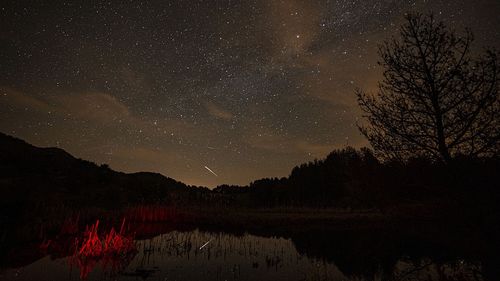 Newly discovered Comet C/2025 F2 (SWAN) captured in stunning photo ...