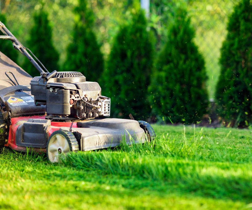 How to overseed a lawn to boost the health of your grass | Homebuilding