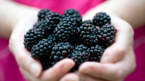 Which fruits are high in protein? | Live Science