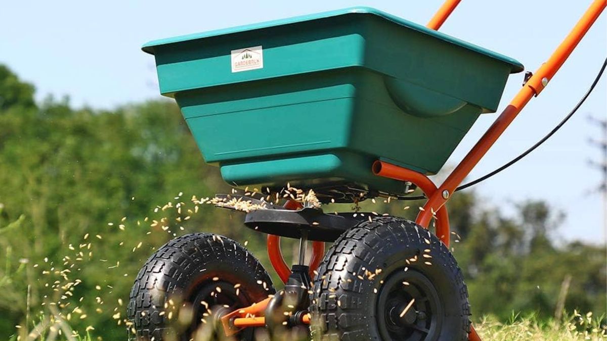 Are seed spreaders worth it? 6 pros and cons from the experts | Top Ten ...