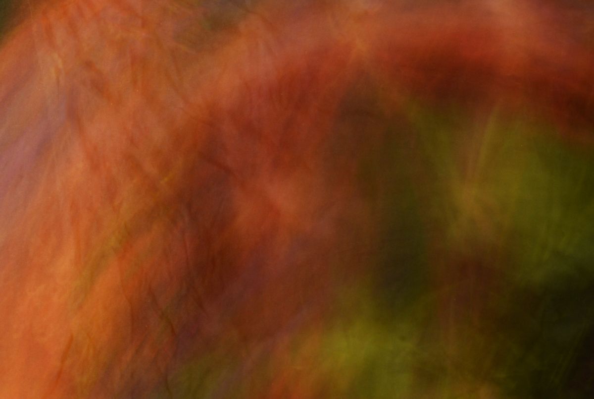 Long exposure flash photography can give you mind blowing results ...