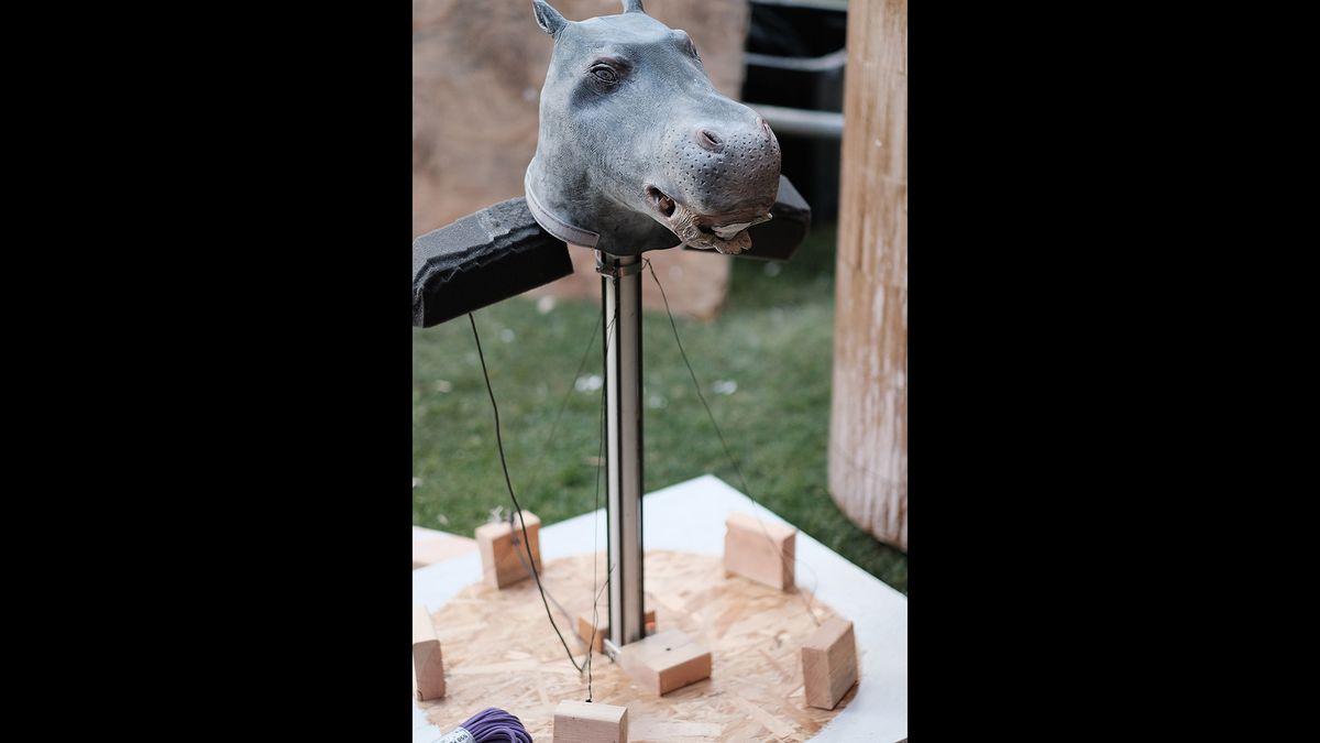 That Time a Bunch of Space Hippos Crashed Coachella (Photos) | Space