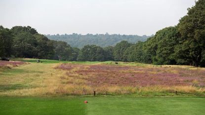 Royal Wimbledon Golf Club Course Review | Golf Monthly