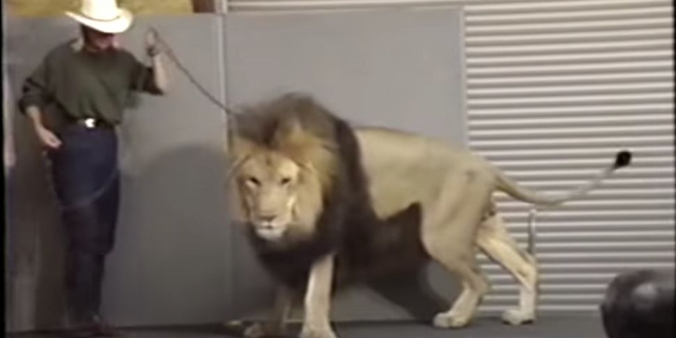 The Lion King: 10 Behind-The-Scenes Facts About The Disney Animated ...