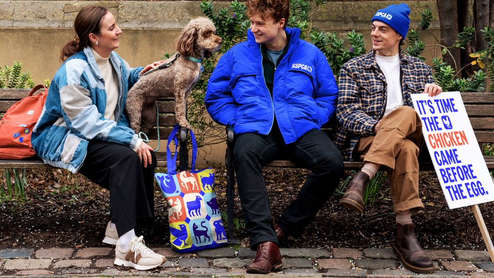 Behind the RSPCA's 50-year rebrand | Creative Bloq