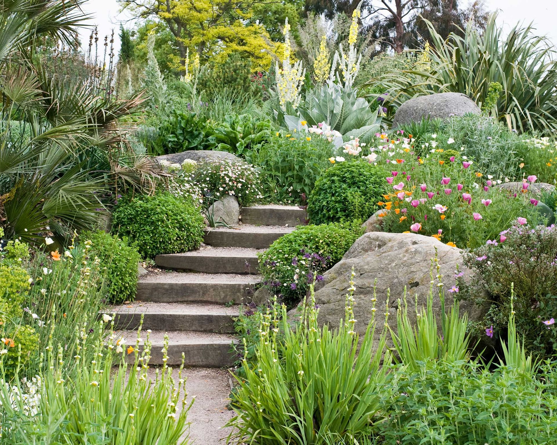 Landscaping ideas with rocks: 11 ways with pebbles, stones and boulders ...