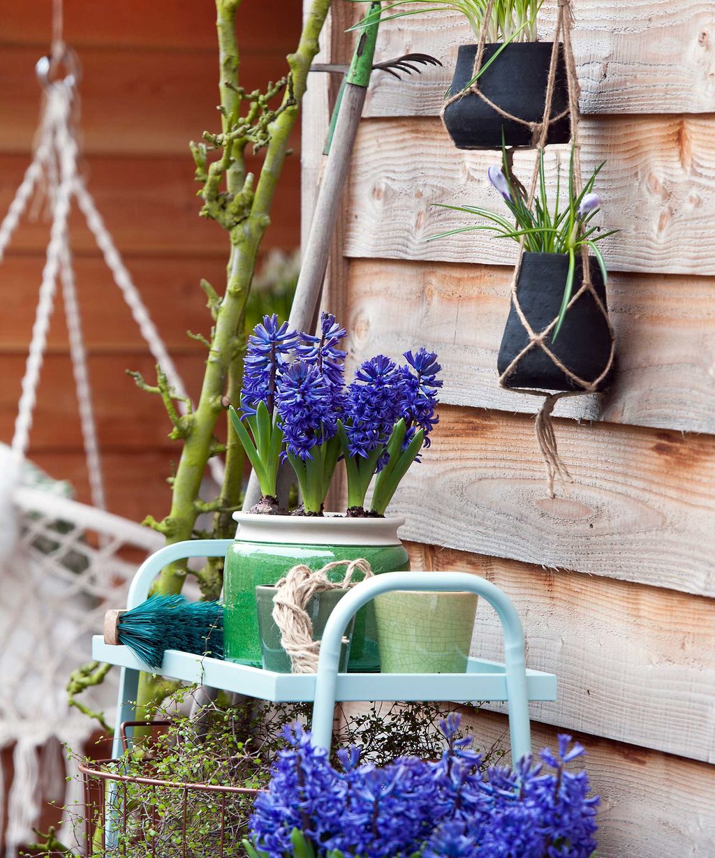 Spring garden ideas: 9 ways to beautify your yard | Homes and Gardens
