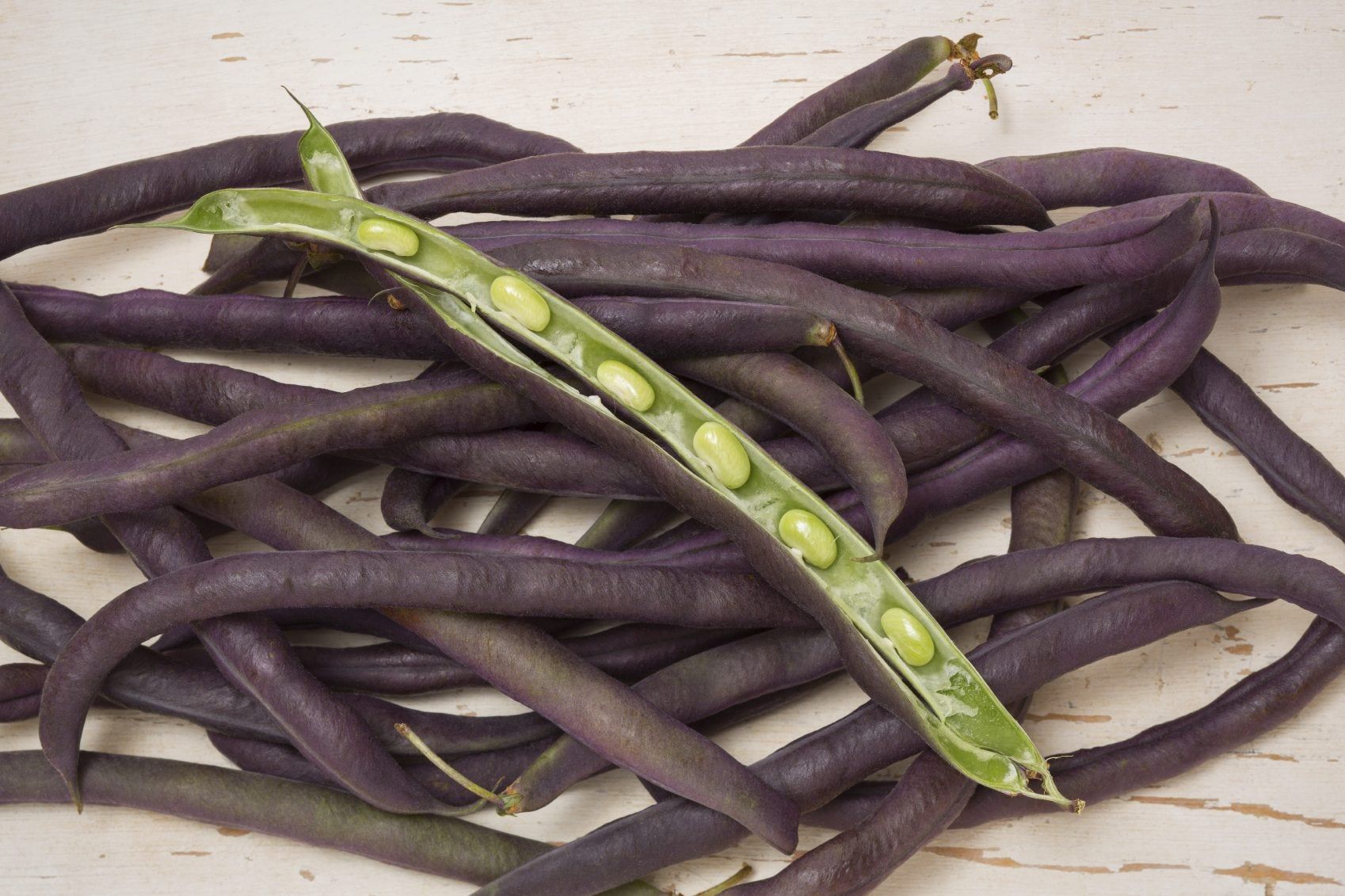 Purple Hull Pea Maintenance: Tips On Growing Purple Hull Peas ...