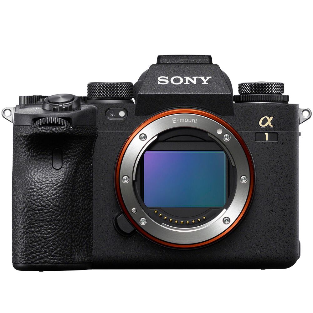 The best professional cameras | Digital Camera World