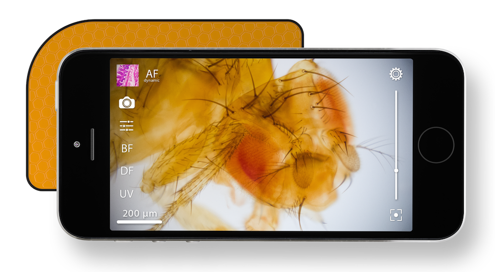 Pocket-Size Device Turns Smartphone into a High-Powered Microscope ...