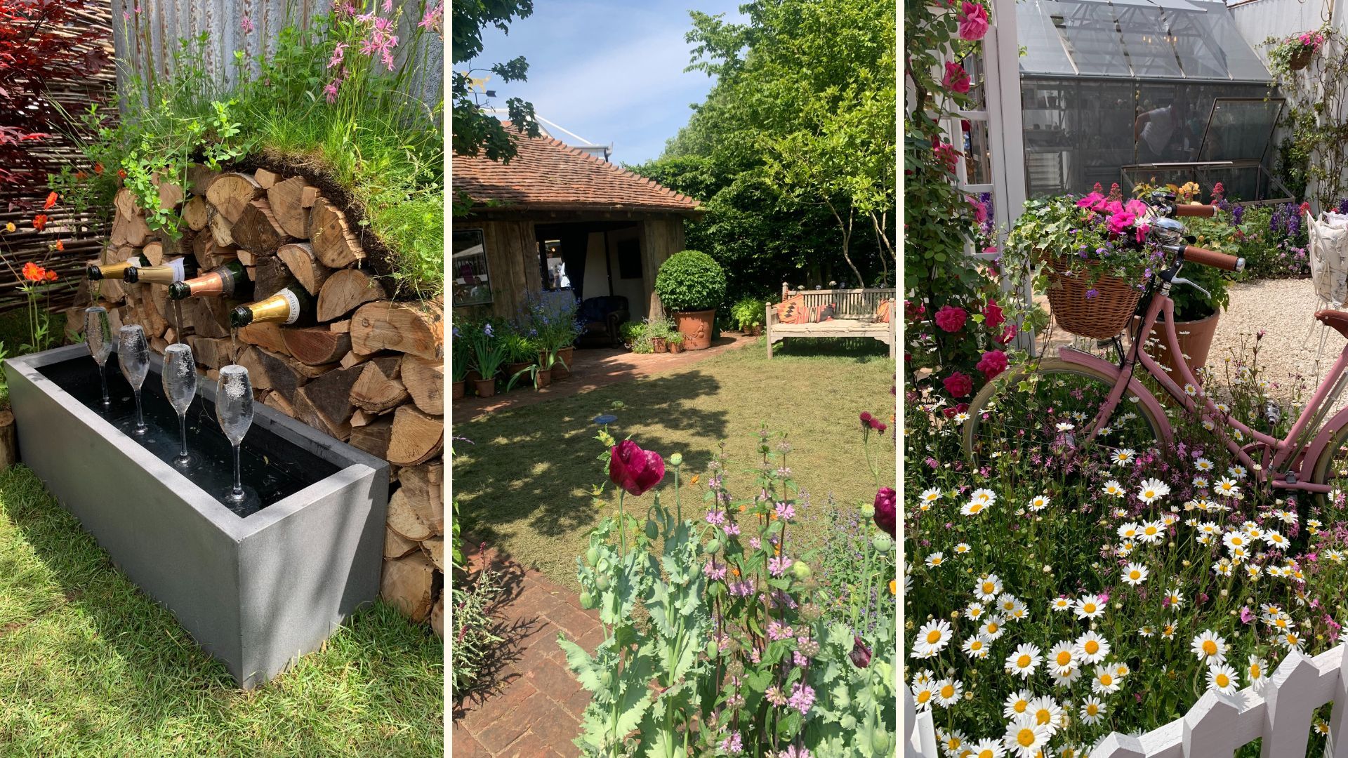 My RHS Chelsea Flower Show 2025 highlights | Woman & Home