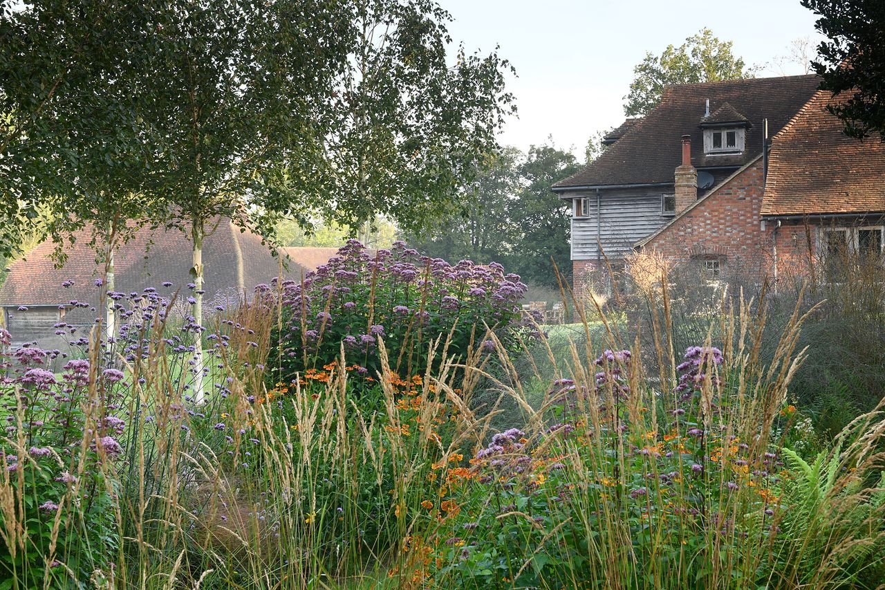 Jo Thompson Landscape and Garden Design | Country Life