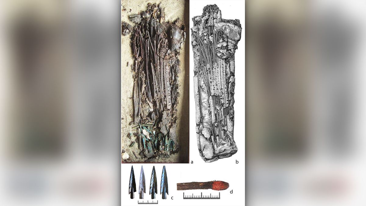 Ancient Scythians used human skin for leather, confirming Herodotus ...