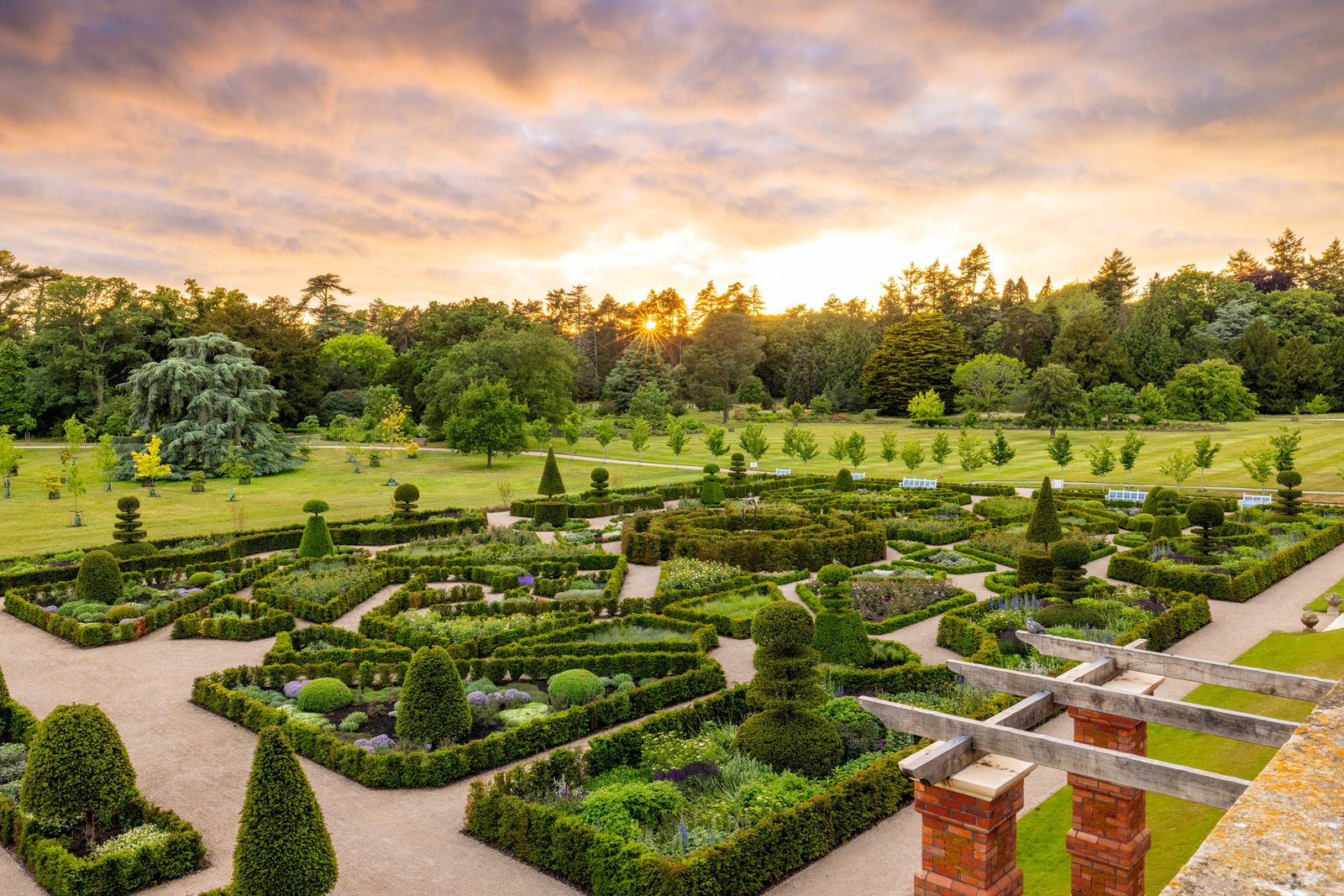 Exclusive: The King's remarkable resurrection of the gardens and ...