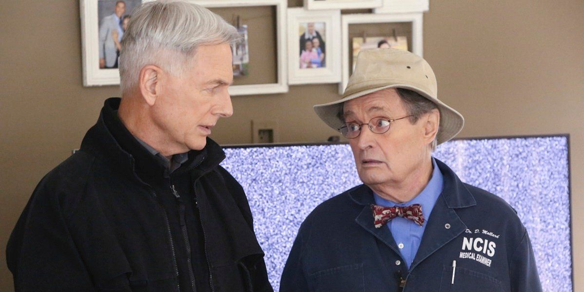 The Awesome NCIS Cameo Viewers May Have Missed In The Season 17 Finale ...