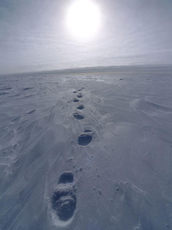 Coldest Places on Earth | Siberia, Antarctica | Live Science