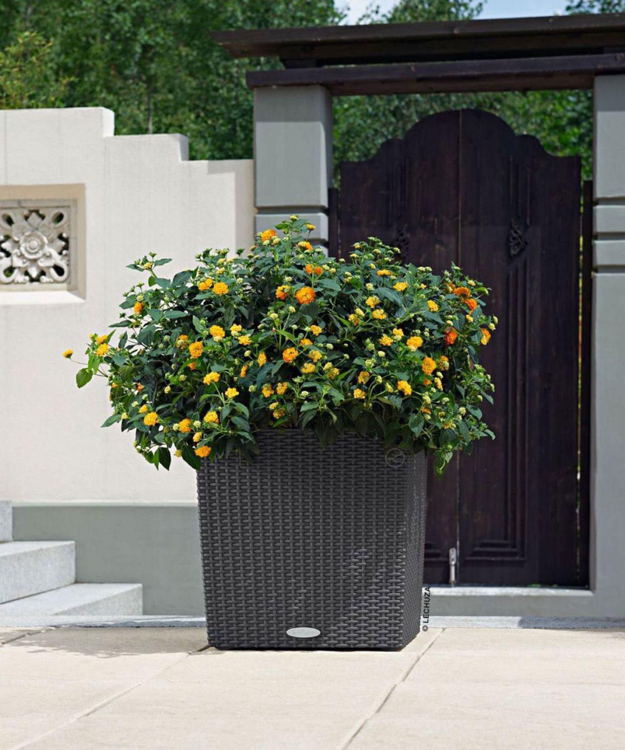 Self-watering planters: pros and cons of these types of pots | Homes ...