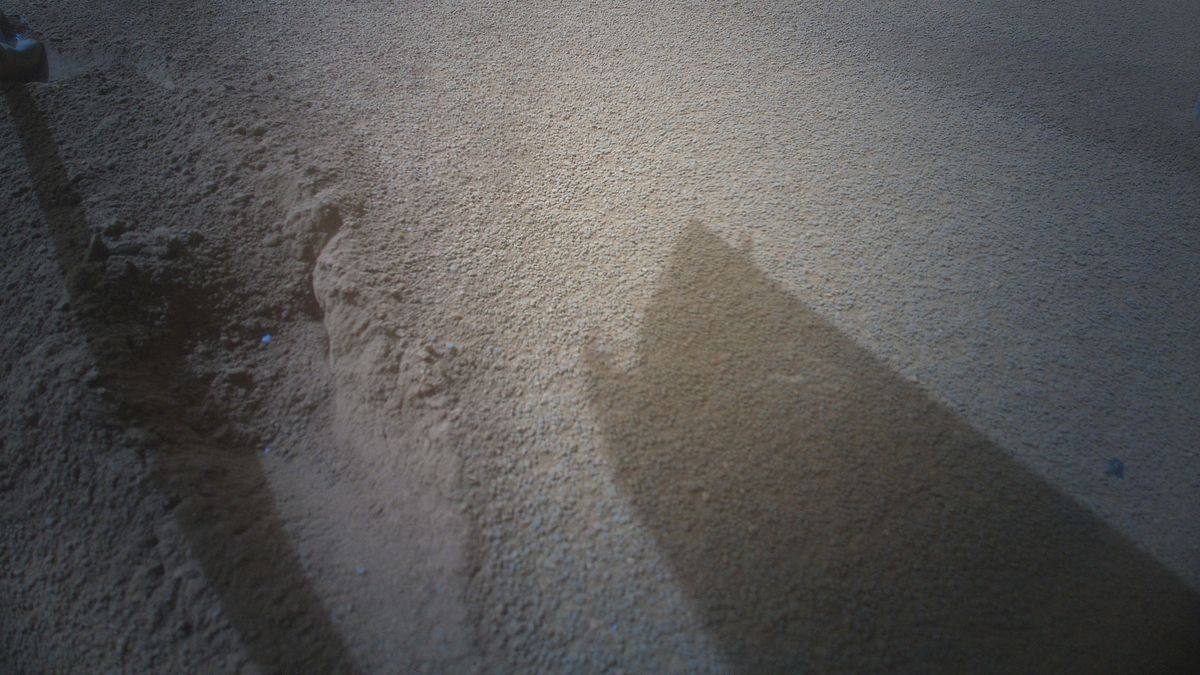 Ingenuity helicopter's final images reveal fatal rotor damage that ...