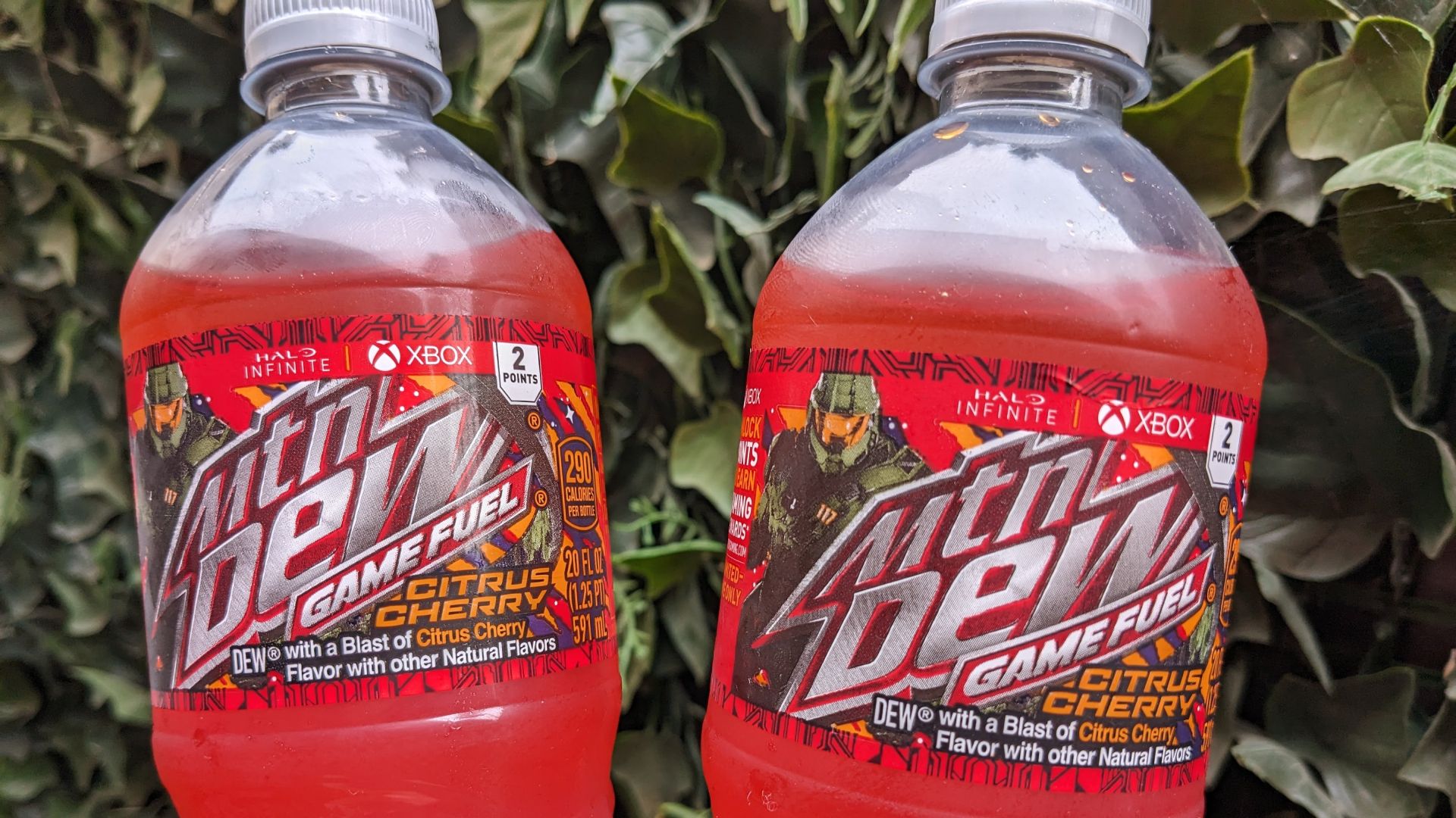 The surprise return of a legendary Mountain Dew flavor made me very ...