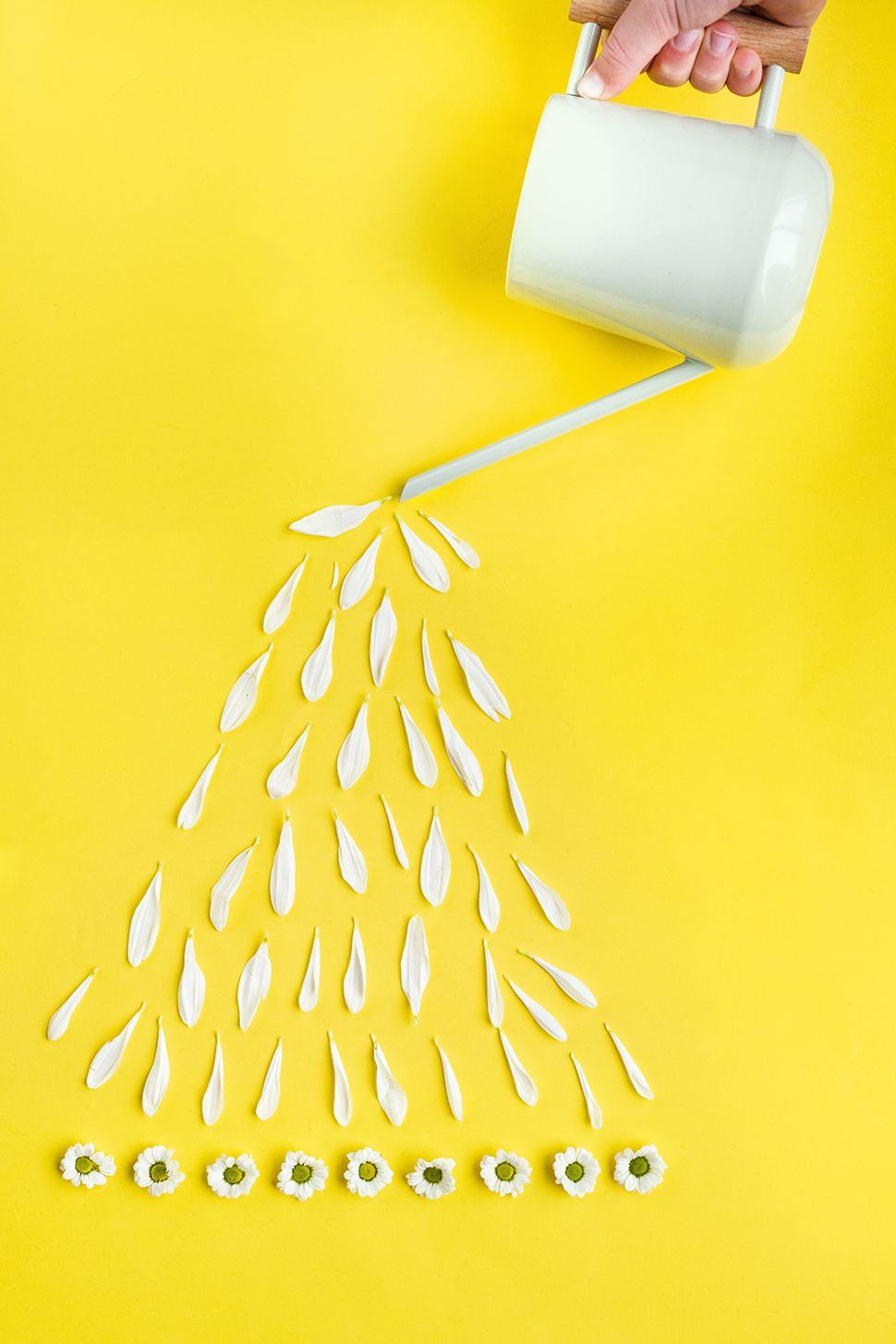 24 creative photography projects for 2024 | Digital Camera World