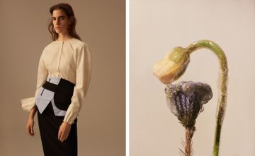 Second nature: sharp silhouettes and sculptural still lifes collide in ...