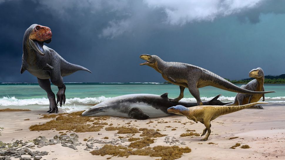 'Cut down in their prime': Dinosaurs were thriving in Africa before the ...