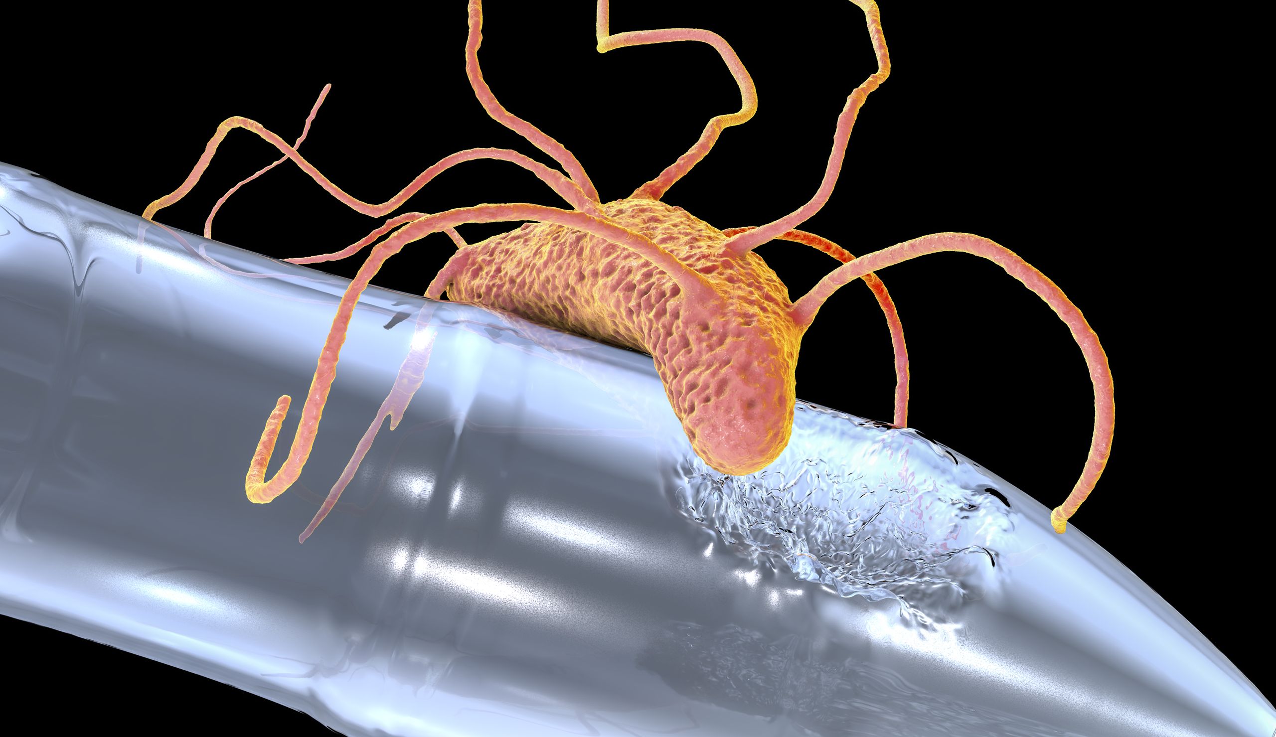 Plastic-eating bacteria: Engineering and impact | Live Science