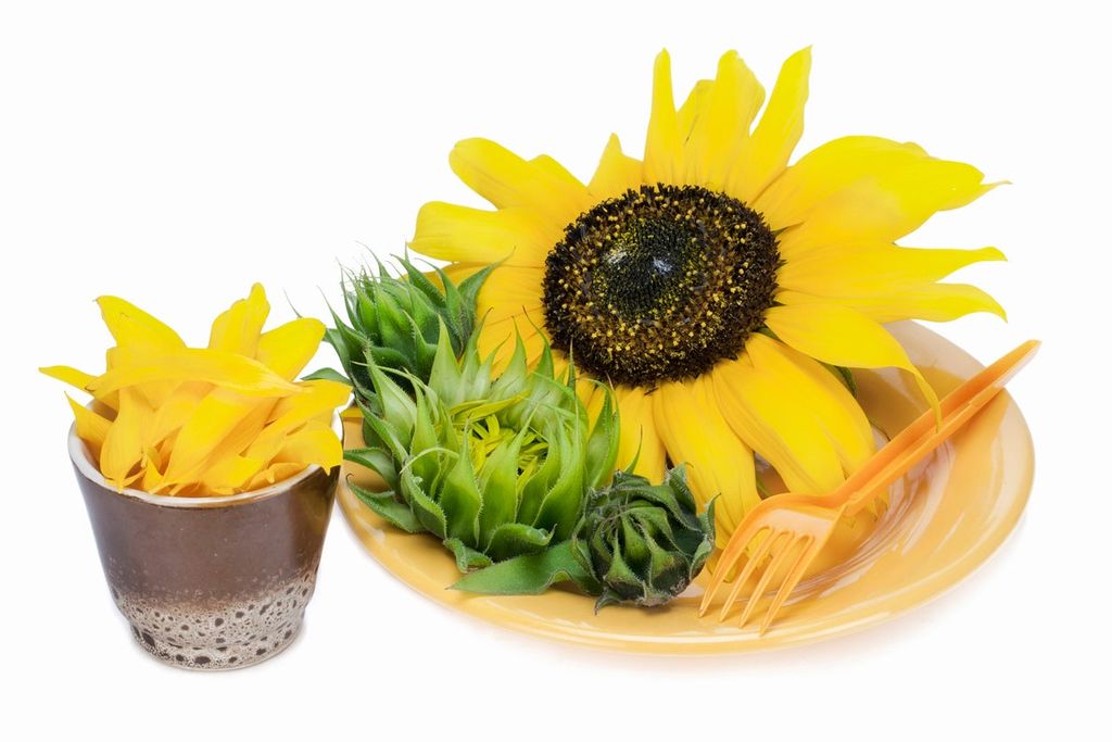 Can You Eat A Sunflower Head – Learn About Eating Sunflower Petals And ...