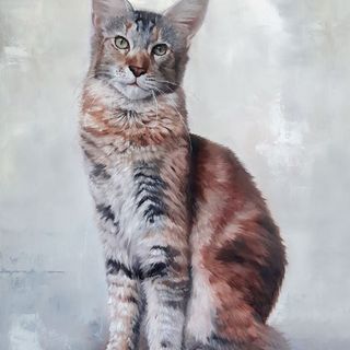 How to draw: 103 tutorials for drawing animals, people, landscapes and ...