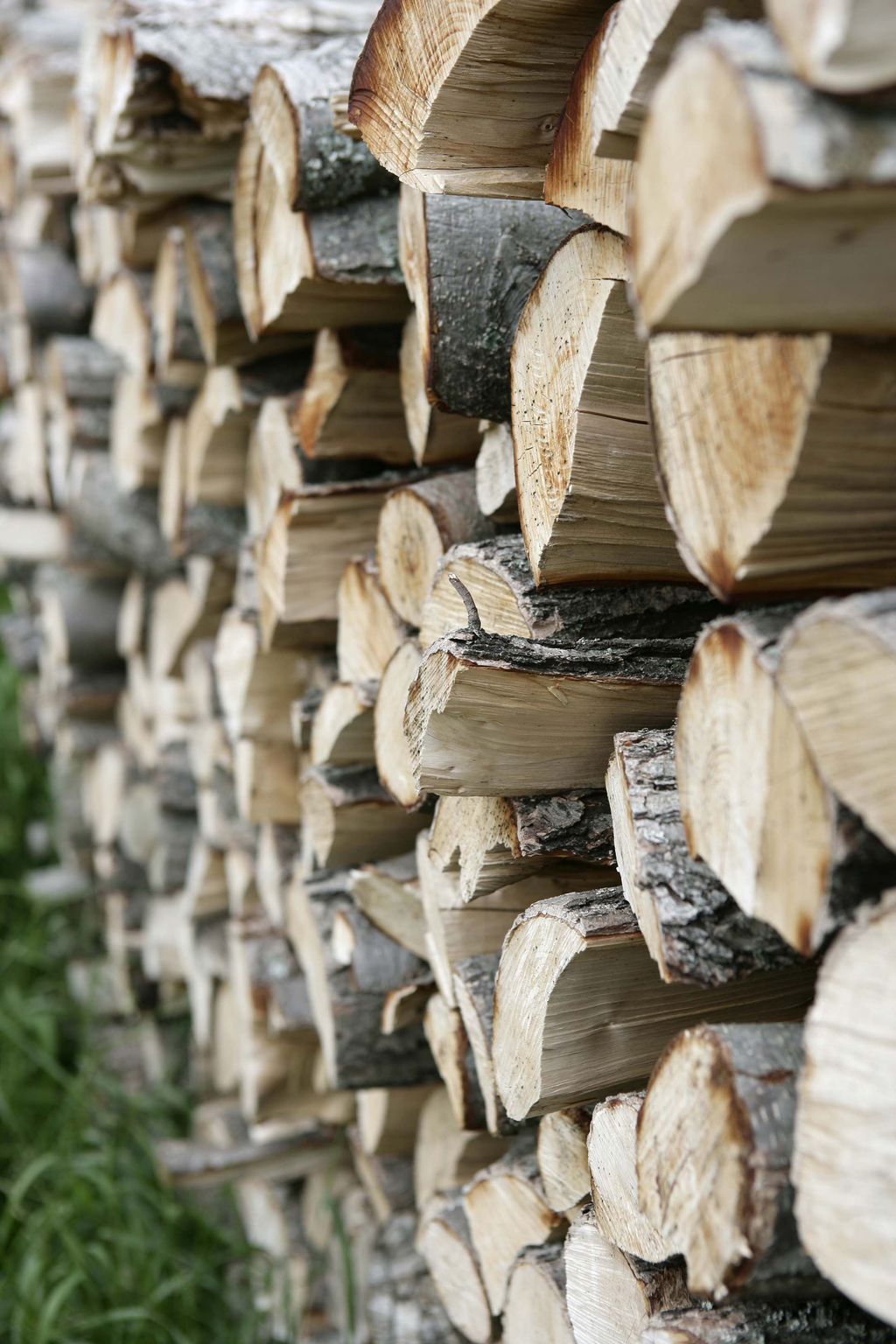 Rewilding: how to rewild your garden in 10 easy steps | Gardeningetc