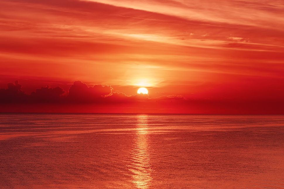 The Color of Blood: Here Are Nature's Reddest Reds (Photos) | Live Science