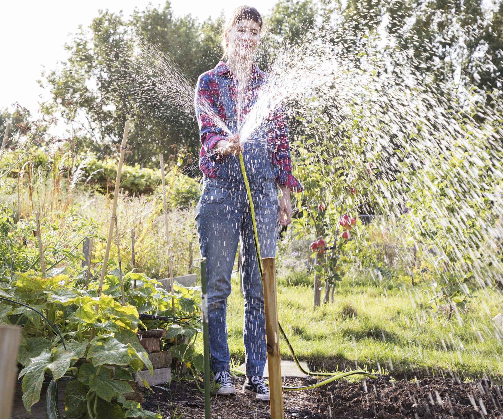How to water plants: 10 expert tips for efficient watering | Homes and ...