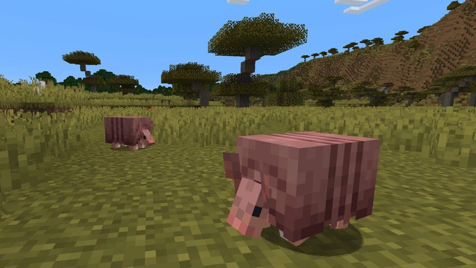 Minecraft Armadillo guide: Update release date, Wolf Armor, Scute ...