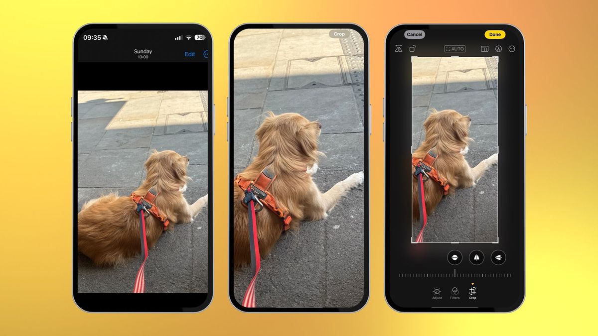 This one iPhone trick makes cropping your images quicker than ever ...