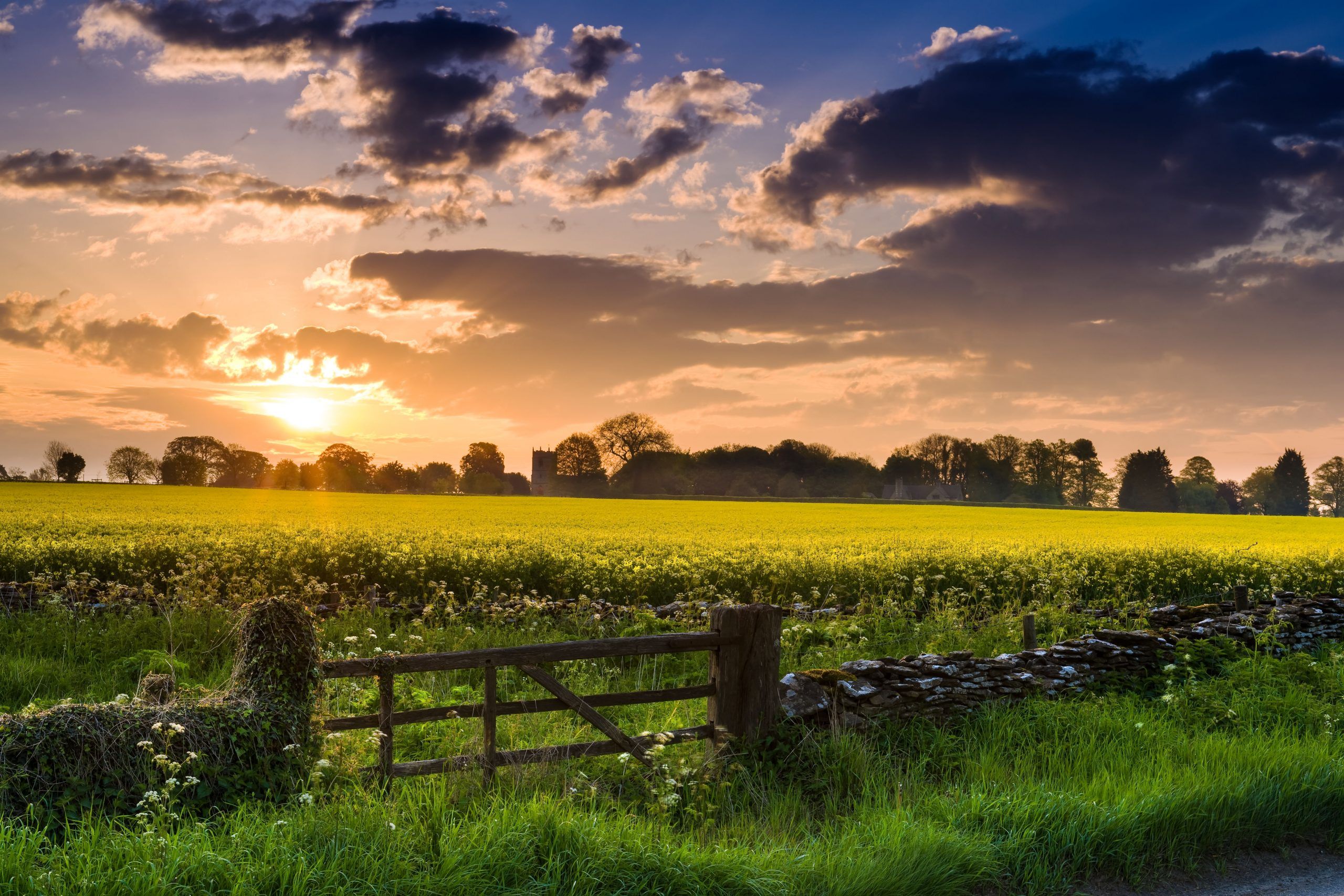 Opinion: Why small family farms should be the future of agriculture in ...