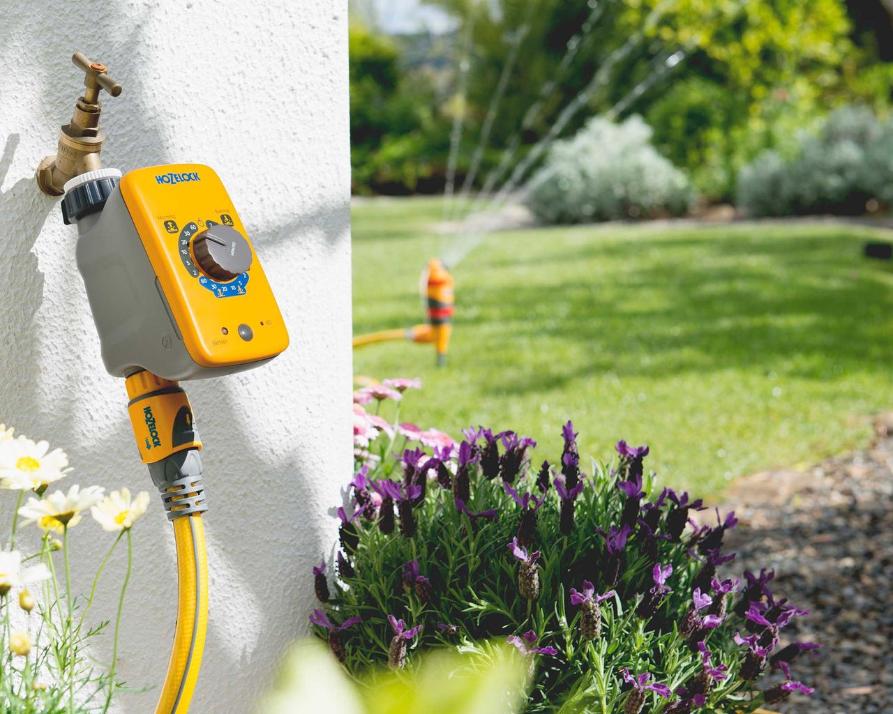 Watering plants: tips on what to do, when to do it, and more | Gardeningetc