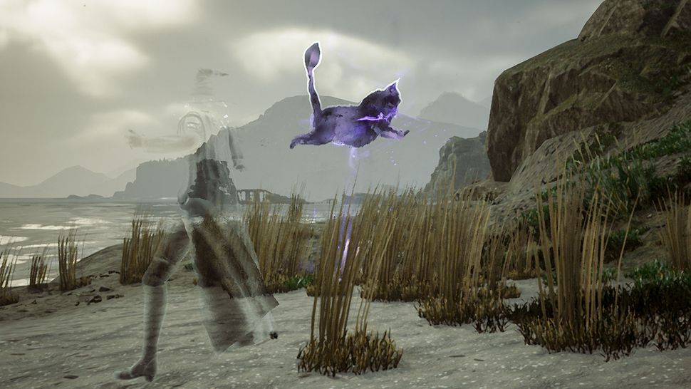 Hogwarts Legacy Kneazle locations: How to find the magical cat ...