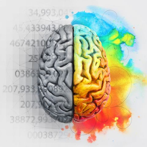 Human Brain: Facts, Functions & Anatomy | Live Science