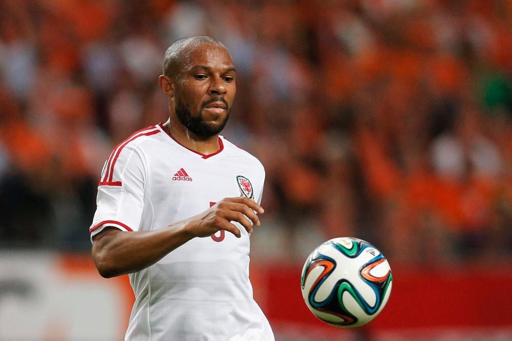 Gabbidon replaces Ricketts in Wales squad | FourFourTwo