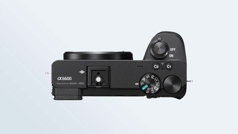 Sony Alpha a6600 review | Tom's Guide