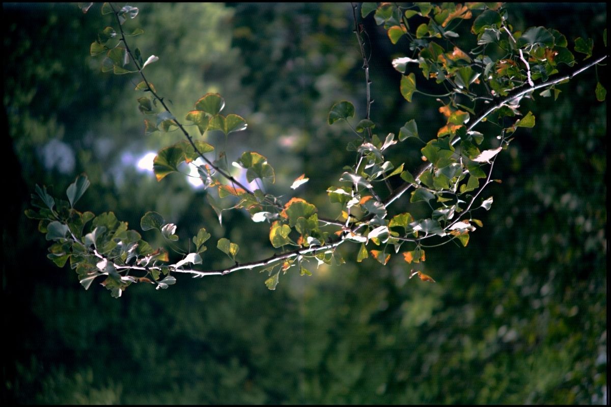 I built my own camera – and here's how you can make your own mirrorless ...