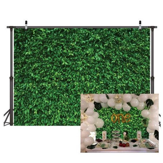 Best backdrops for photography | Digital Camera World