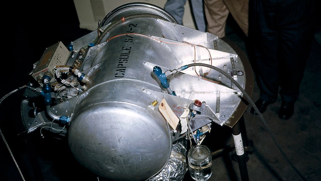 Able and Baker: The First Primates to Survive Spaceflight in Photos | Space